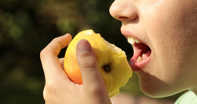 Mordida perfecta ¿Cómo corregir la maloclusión? | SociDent